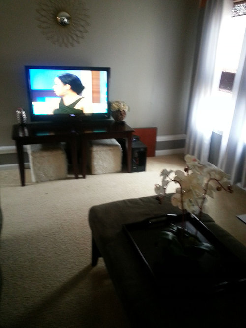 Help Me Please!!!! Need help decorating my Family Room