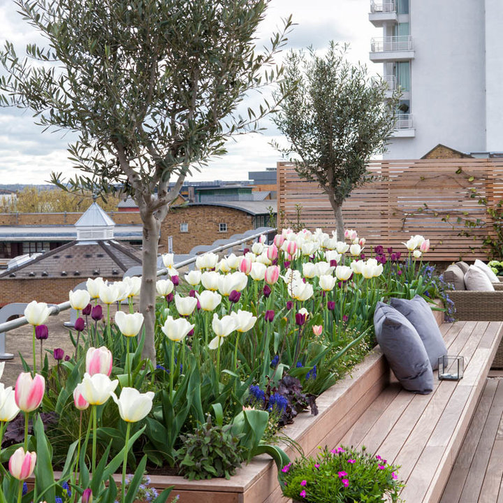 75 Transitional Landscaping Ideas You'll Love - January, 2026 | Houzz