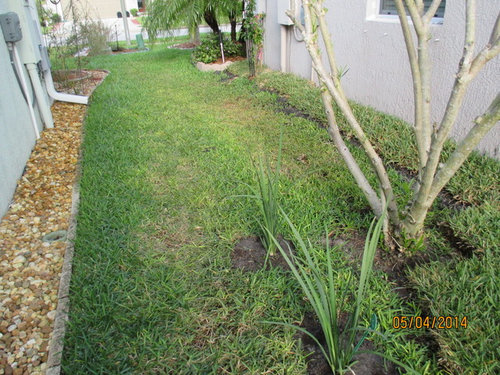 Need Ideas On How To Separate Merged Front Yards