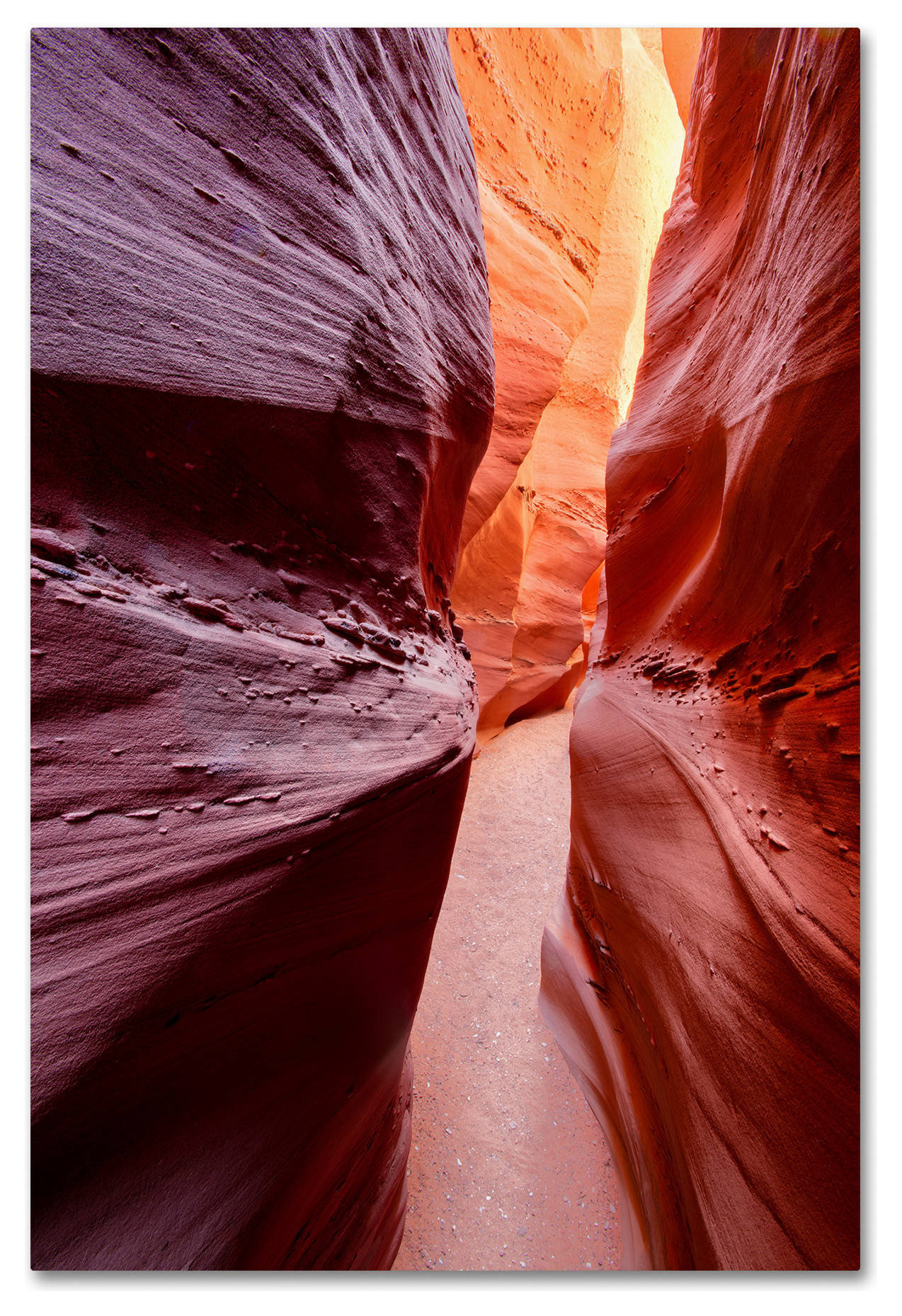 Michael Blanchette Photography 'Earth Slice' Canvas Art, 16"x24 ...