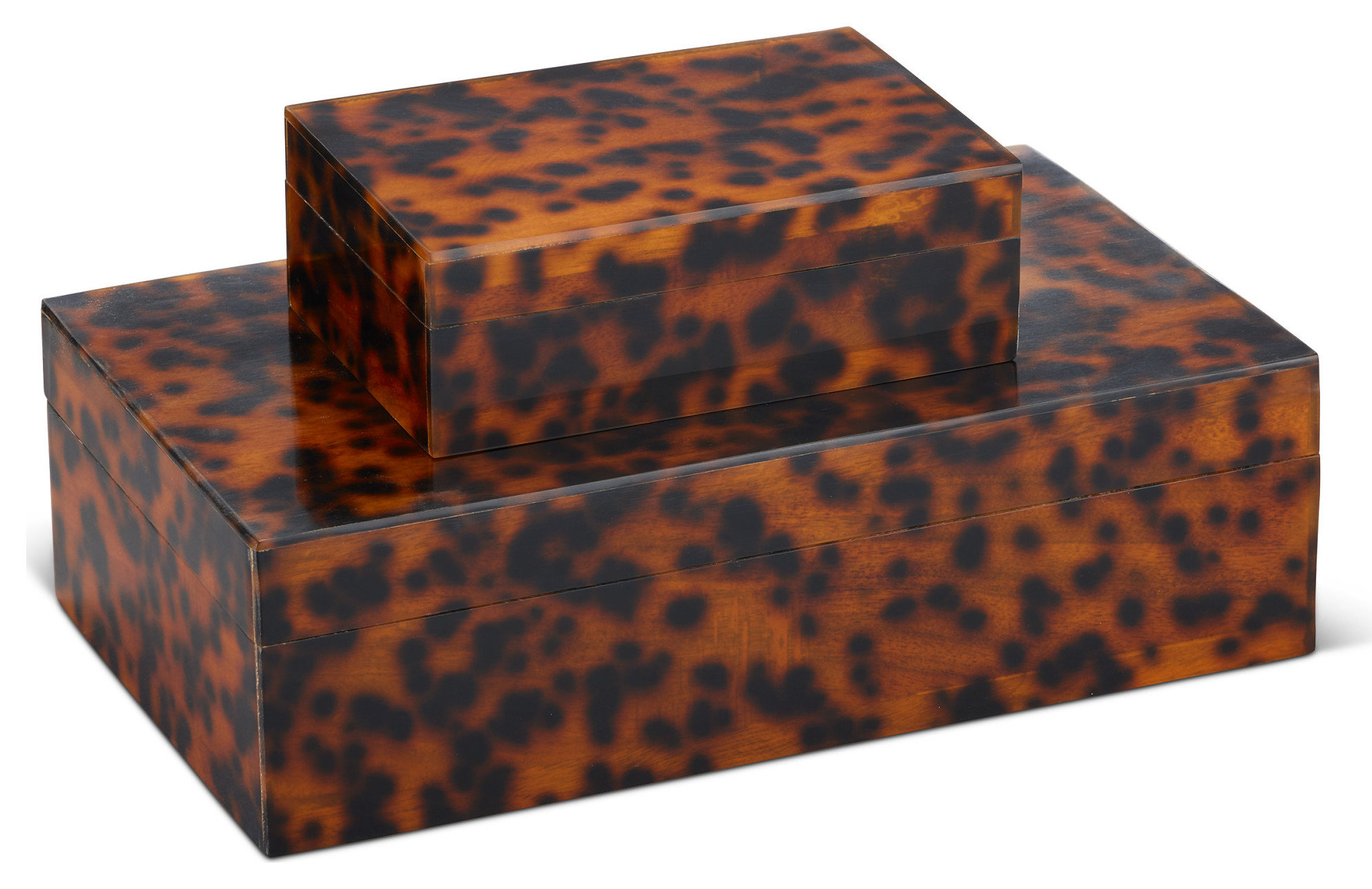 Faux Tortoise Box, 2-Piece Set - Contemporary - Decorative Boxes - by Currey & Company, Inc. | Houzz
