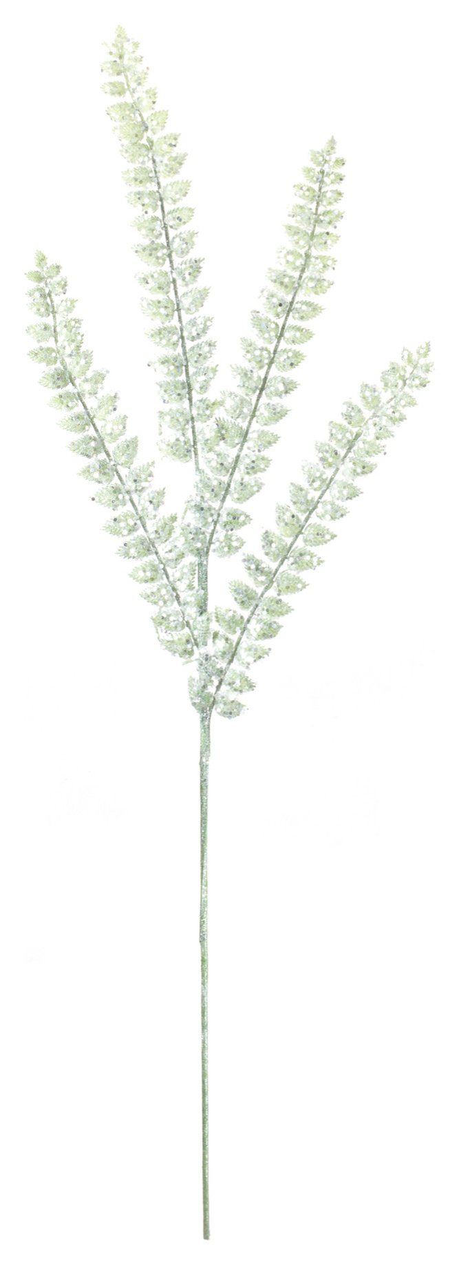 Glittered Fern Spray, Set of 24 - Beach Style - Artificial Plants And ...