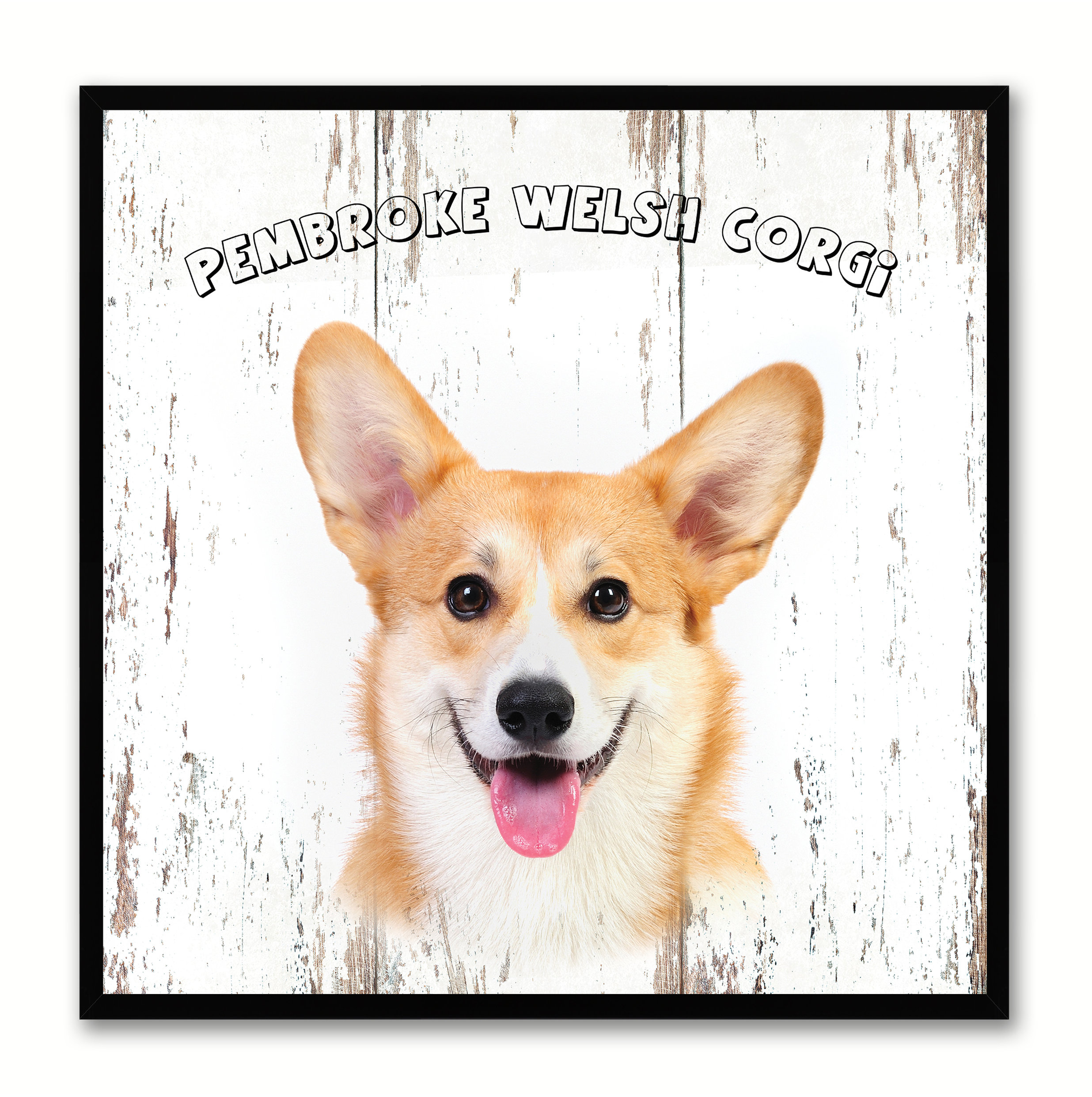 Pembroke Welsh Corgi Dog Canvas Print, 7"x7", 15"x15" - Contemporary ...