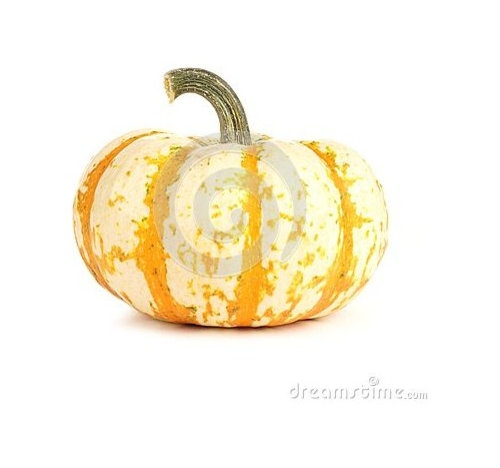 Pumpkin identification please