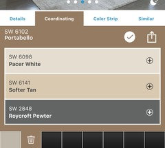 How to coordinate paint colors