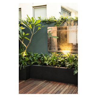 Enmore - Plunge Pool + Entertaining Deck - Contemporary - Sydney - by ...