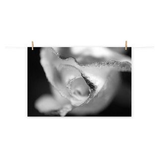 Infrared Rose Nature Photography, Floral Unframed Wall Art Print, 12" X ...