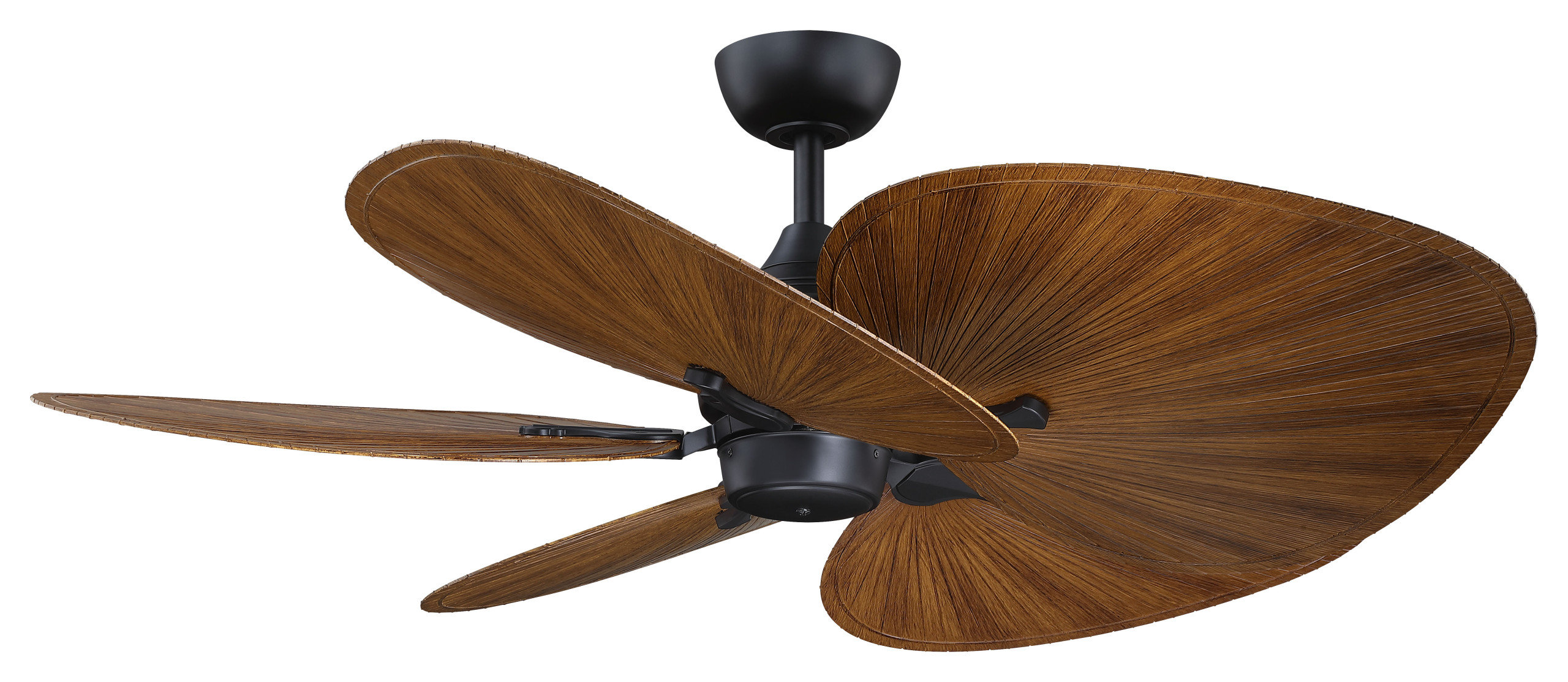 Islander Indoor/Outdoor Ceiling Fan DC Motor Black - Tropical - Ceiling ...