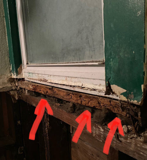 Rotten wood under my window, how do I fix it?