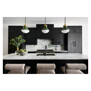Logan Square New Contruction - Transitional - Kitchen - Chicago - by ...