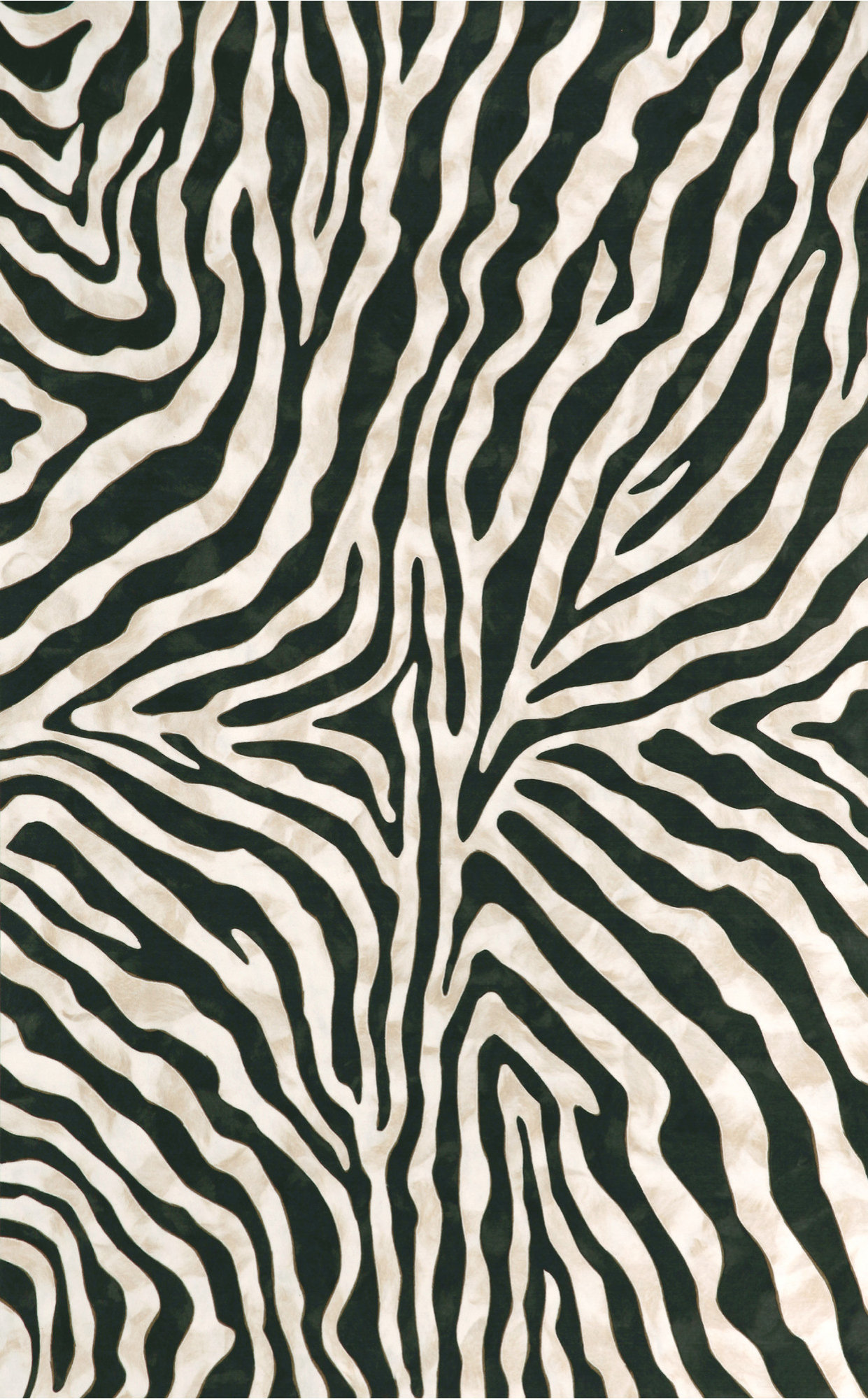 Visions I Zebra Indoor/Outdoor Rug Black, 3'6"x5'6' - Contemporary ...