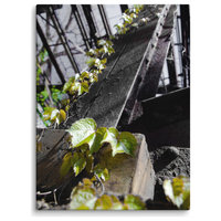 Nature Taking Over Nature Photography Canvas Wall Art Print, 18" X 24 ...