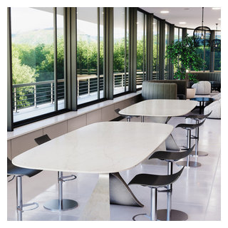 Seascape-Inspired Designs - Asian - Balcony - Minneapolis - by Cambria ...