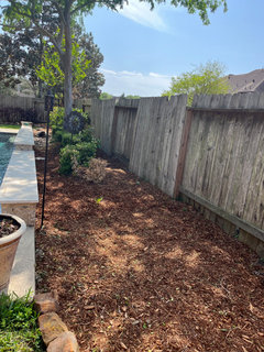 Landscaping ideas behind pool