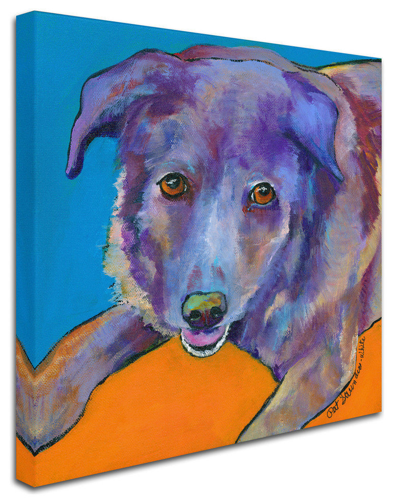 Pat Saunders-White 'Butch' Canvas Art, 35"x35" - Contemporary - Prints ...