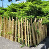 Bamboo Picket Fence, 24" - Asian - Home Fencing And Gates - by Master ...