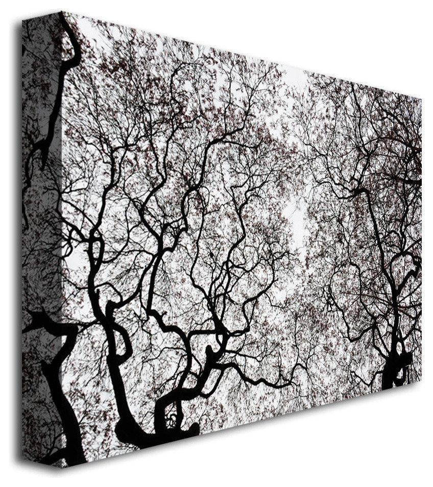 'Japanese Maple Spring Abstract' Canvas Art by Kurt Shaffer, 22" x 32 ...