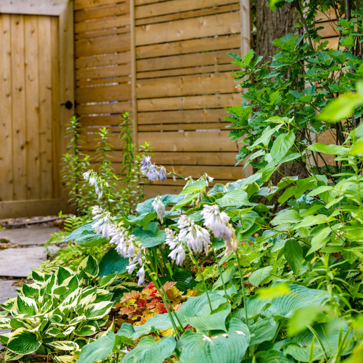 75 Shade Flower Bed Ideas You'll Love - May, 2025 | Houzz