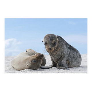 "Galapagos Sea Lion Female and Pup, Galapagos Islands, Ecuador" Wall ...