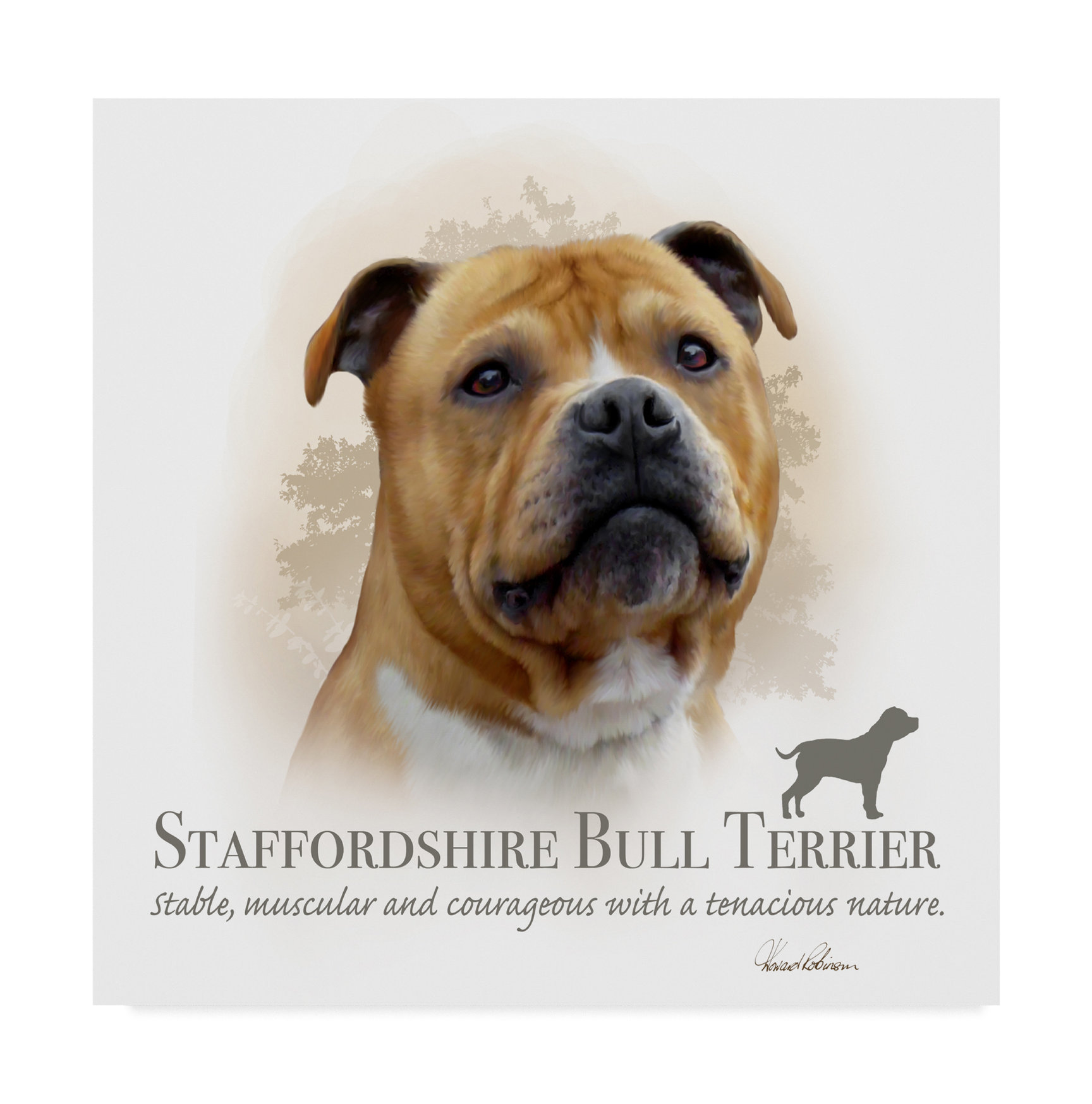 "Staffordshire Bull Terrier" by Howard Robinson, Canvas Art, 24"x24 ...