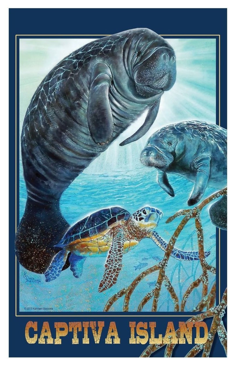 Jim Mazzotta Captiva Island Art Print, 30"x45" - Contemporary - Fine ...