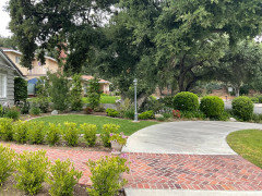 Hedge, trees, or nothing around Governor’s Driveway