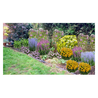 Renovating a shady border: design mockup - Garden - Kent - by Lovely ...