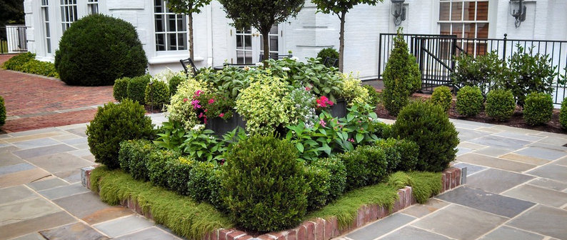 SOUTHERN SHADE TREE - Project Photos & Reviews - Pineville, NC US | Houzz