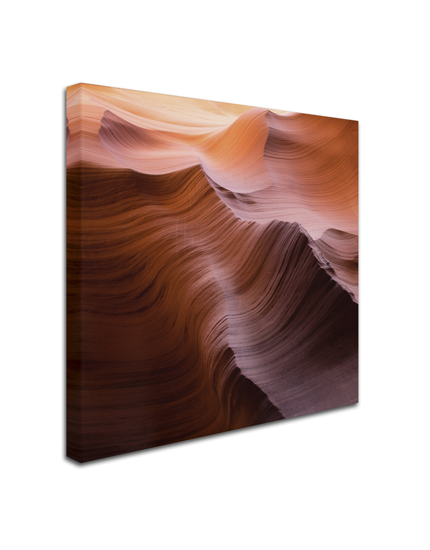 "Smooth I" Canvas Art by Moises Levy, 14"x14" - Traditional - Prints ...