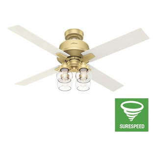 Hunter 59651 Vivien, 52" Ceiling Fan with Light Kit and Remote Control ...