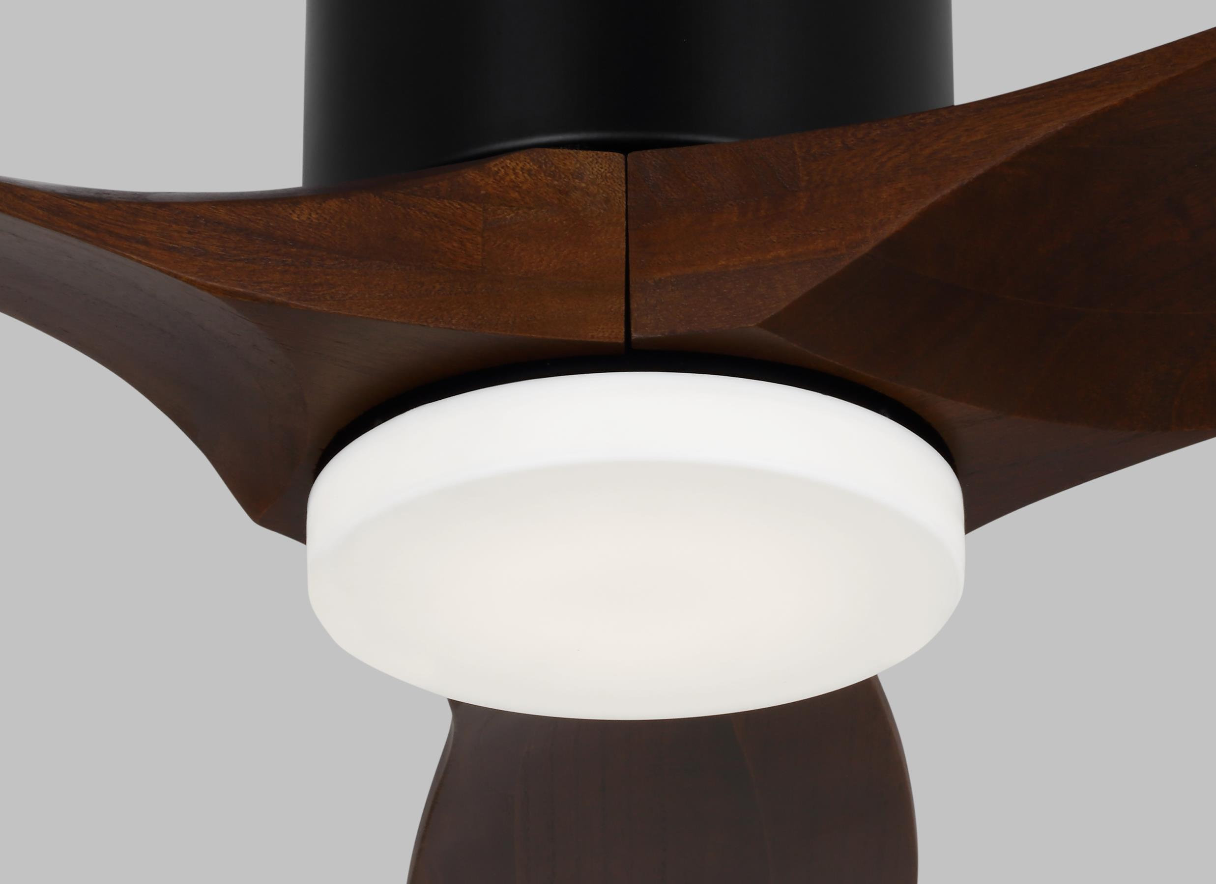 Collins 52" LED Ceiling Fan Midnight Black - Transitional - Ceiling ...