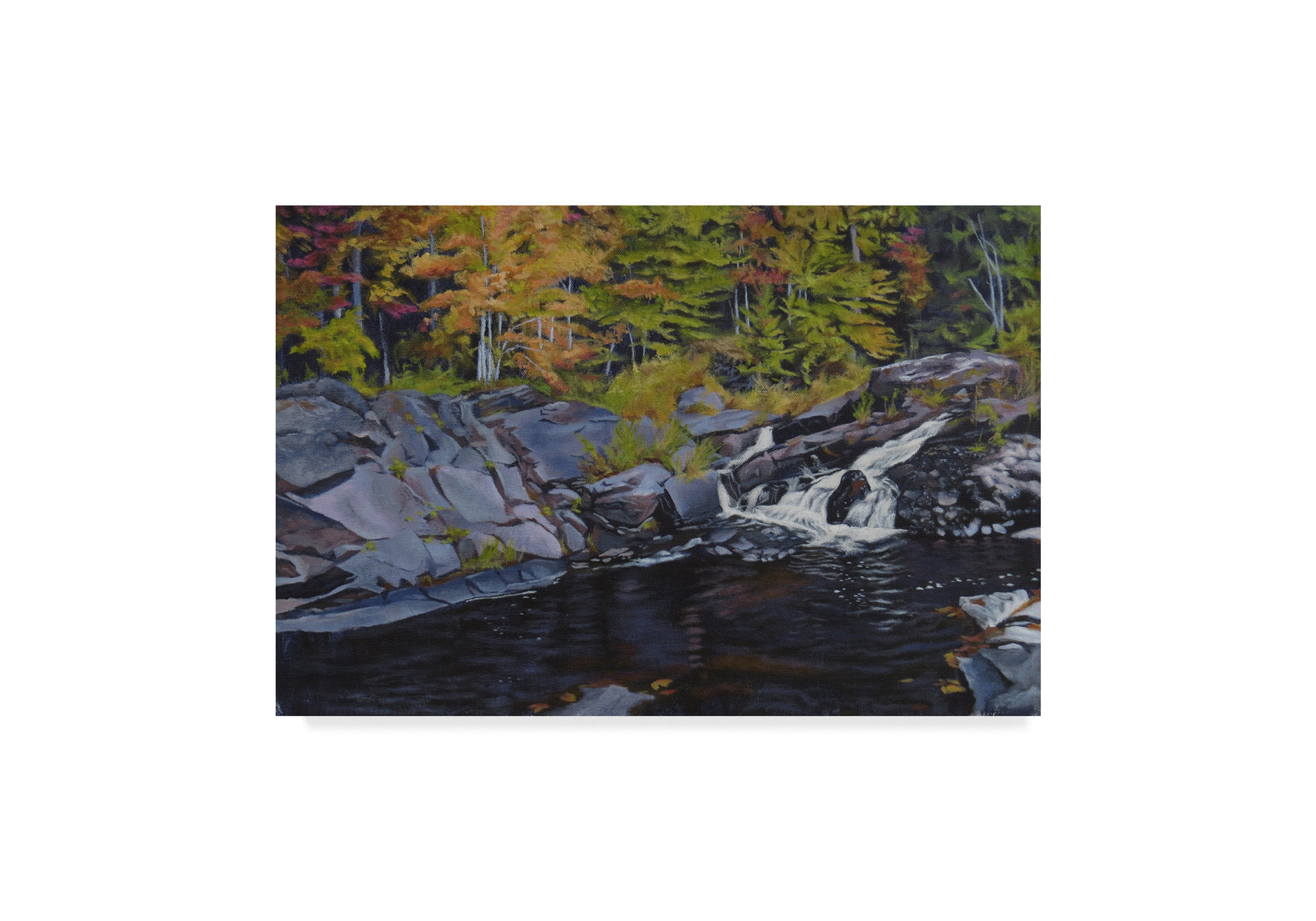 Rusty Frentner 'Forest Cliff' Canvas Art, 32"x22" - Rustic - Prints And ...