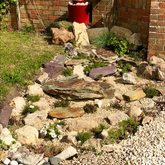 75 Modern River Rock Landscaping Ideas You'll Love - May, 2025 | Houzz