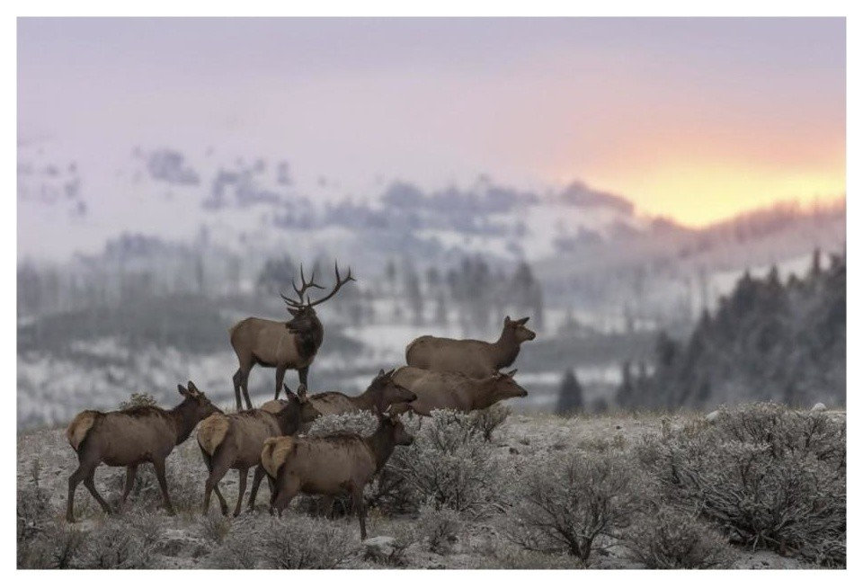 "First Light" Digital Paper Print by Nick Kalathas, 20"x14", 26"x18 ...
