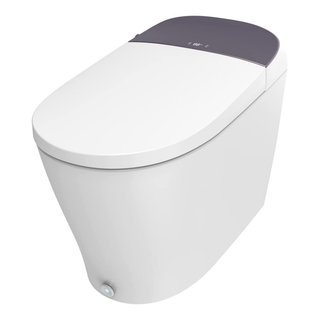 Dyconn Faucet Smart Bidet Toilet, Auto Sensor Lid, Open/Close Foot Kick ...