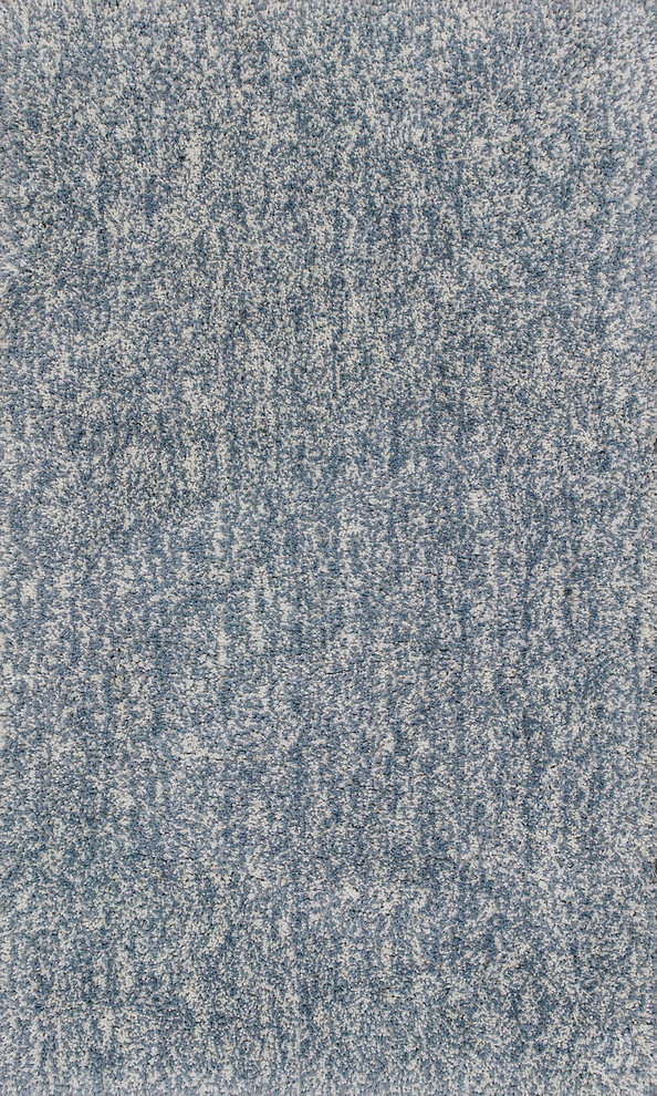 Bliss 1587 Slate Heather Shag Rug, 8'x11' - Contemporary - Area Rugs ...