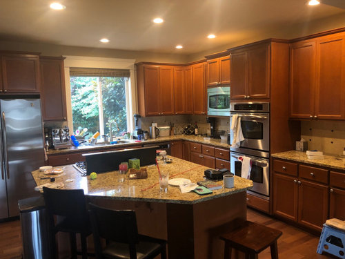 Partial kitchen update - worth it? | Houzz Forum