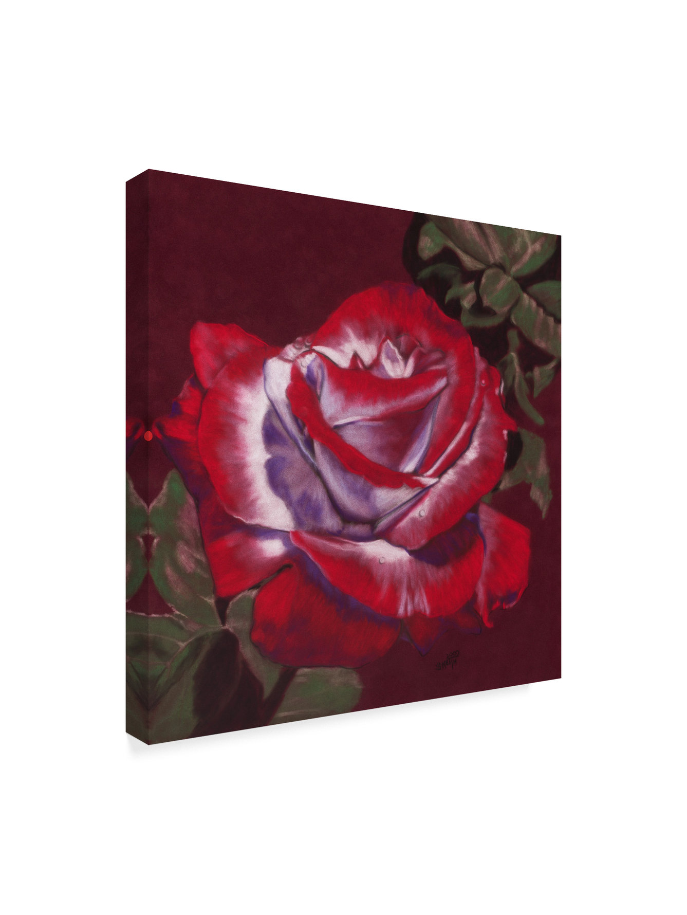 "Ruby" by Barbara Keith, Canvas Art, 18"x18" - Contemporary - Prints ...