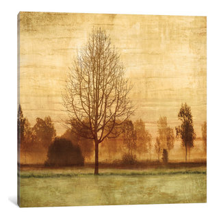 "Golden Sunrise II" by Chris Donovan, Canvas Print, 12x12x1.5 ...