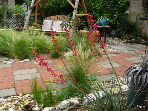 Red Yucca Brake Lights | Shelly Lighting