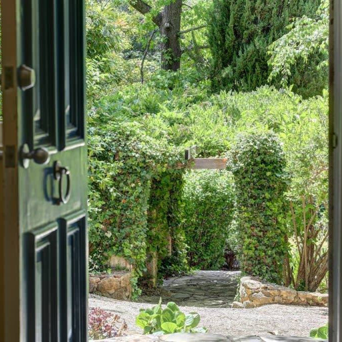 75 Beautiful Mid-sized and Australian Native Garden Ideas & Designs ...