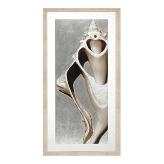 Modern Shell Framed Art - Beach Style - Prints And Posters - by Paragon ...