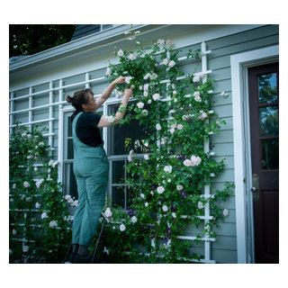 Before and After images of new garden installations - Traditional ...