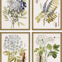 Lacy Leaves, Set of 4 - Contemporary - Prints And Posters - by Paragon ...