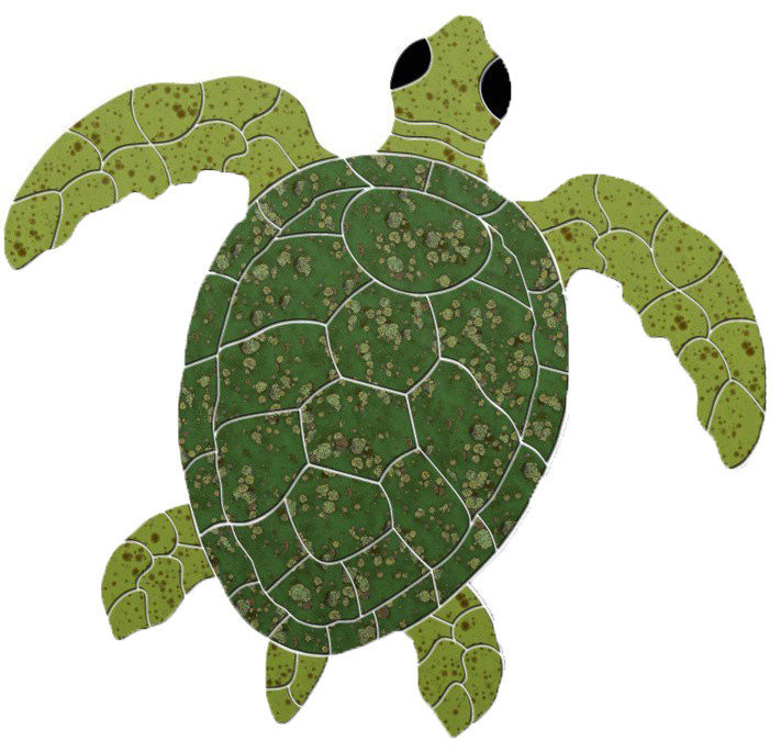 Sea Turtle 1 Ceramic Swimming Pool Mosaic, 17"x16" - Beach Style ...