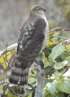 The Worst Rain I've Ever Experienced