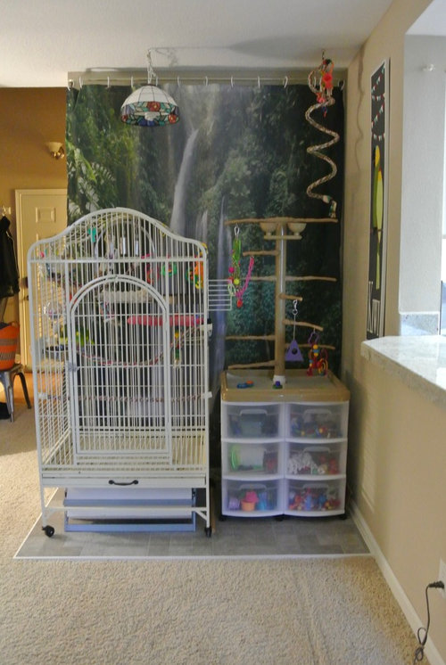 Inexpensive 'facelift' makes a huge difference in pet area!