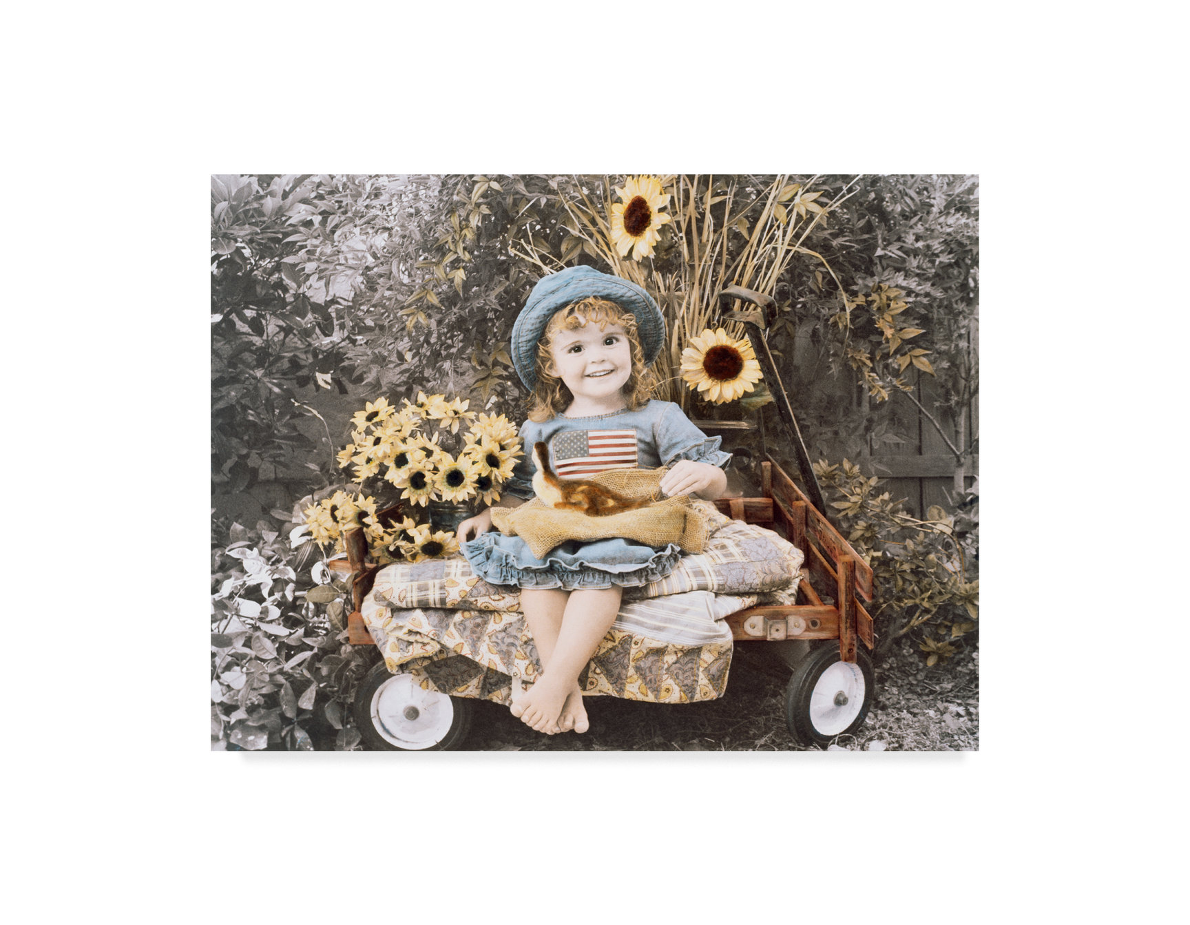 Sharon Forbes 'Sunflower Smile' Canvas Art, 19"x14" - Farmhouse ...