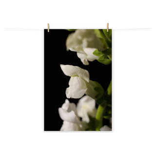 Single Snapdragon Bloom Nature Photo, Floral Unframed Wall Art Print ...