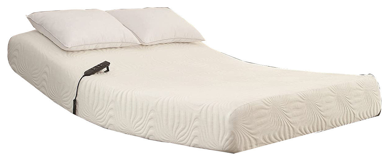 Metal Twin Size Adjustable Bed with Remote, Black - Traditional ...